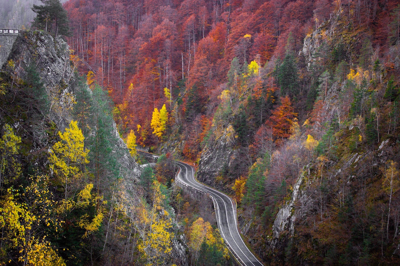 Rutas en otoño: consejos e ideas para visitar